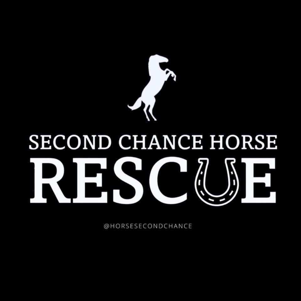 Second Chance Horse Rescue - Volunteers Malta